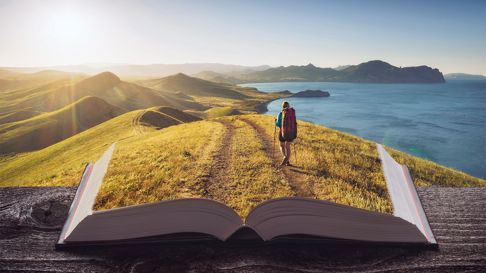 NextReads – Glenside Library